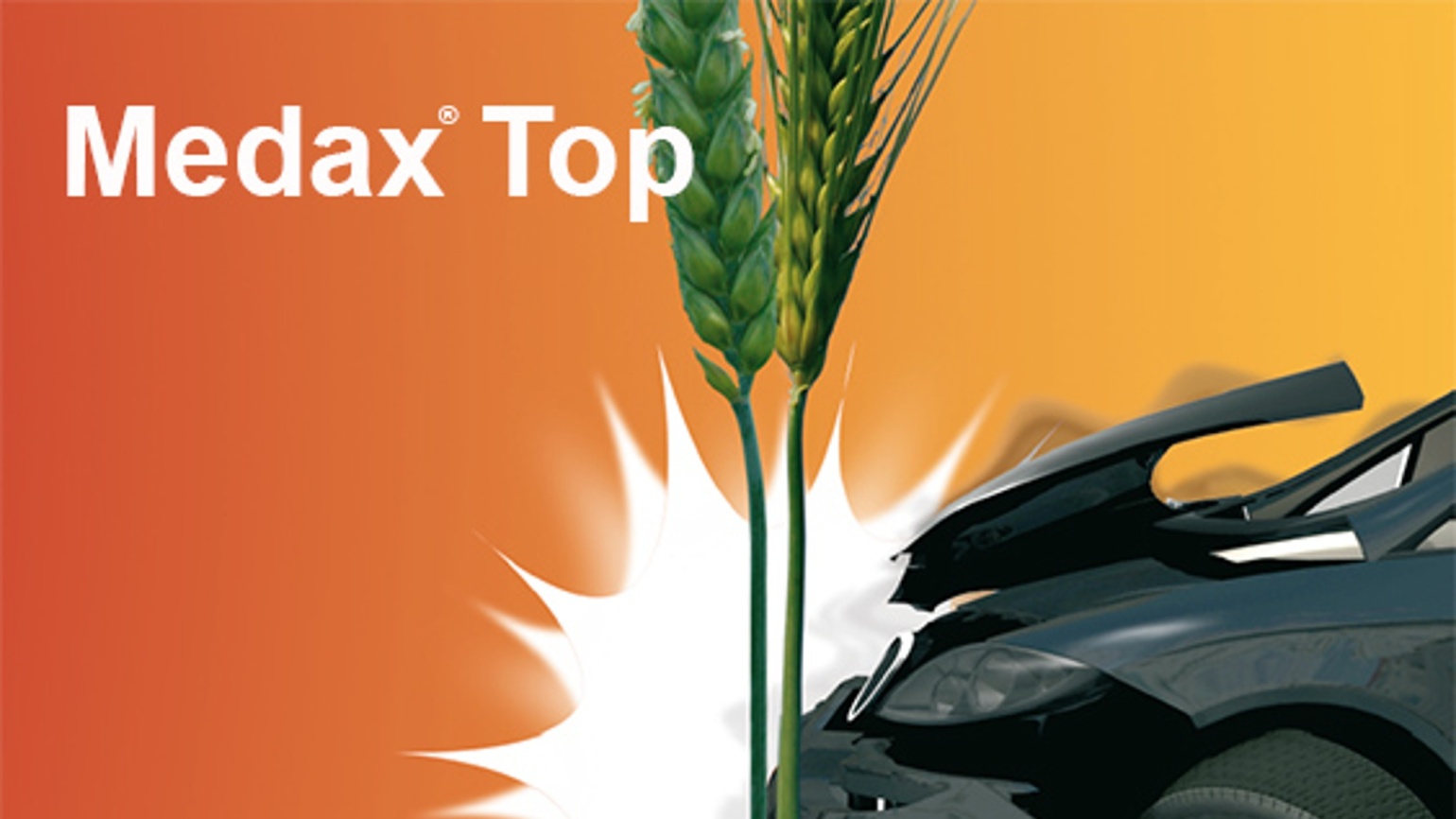 Welkom bij BASF Agricultural Solutions / BE
