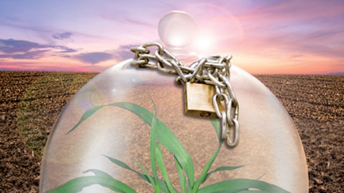 Welkom bij BASF Agricultural Solutions / BE