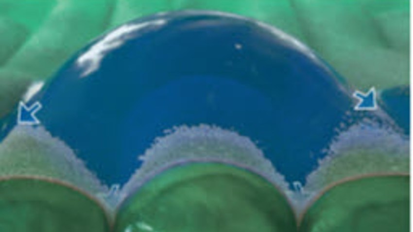 Revysol nouvelle gamme de fongicides céréales