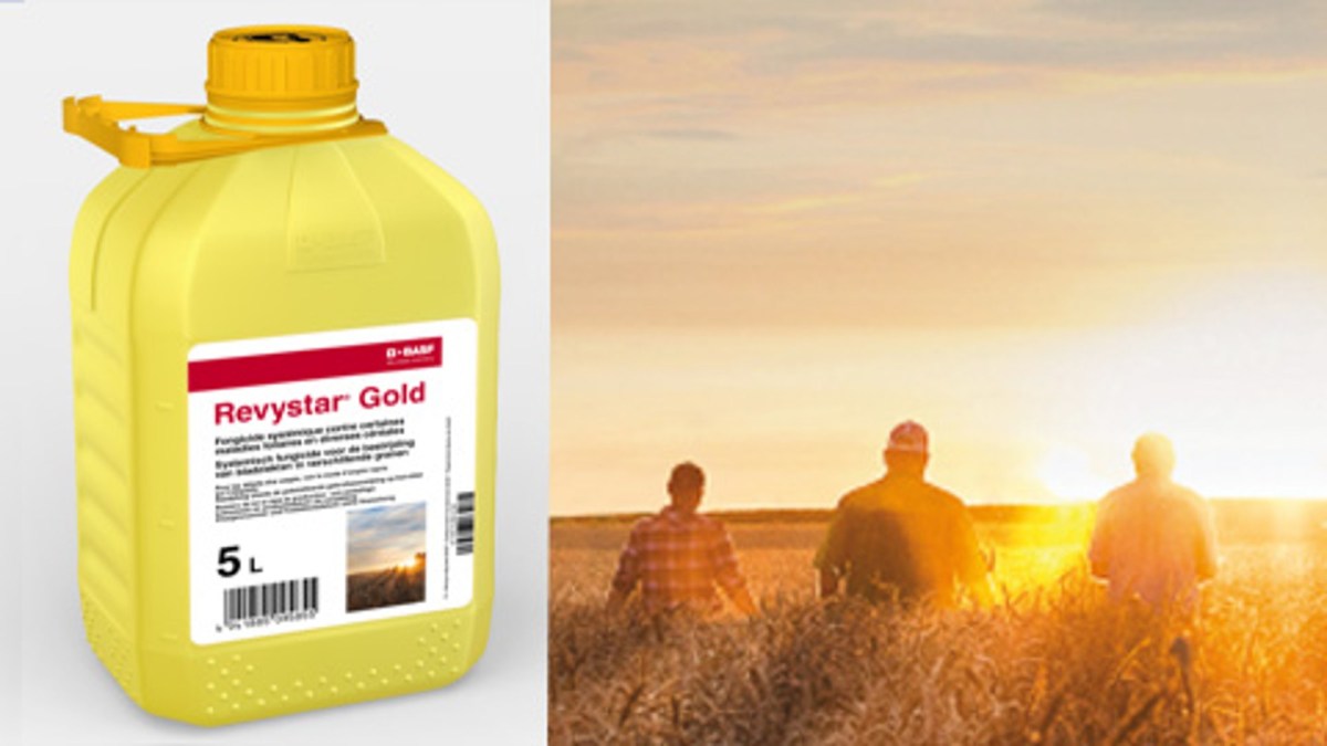 Revysol nouvelle gamme de fongicides céréales