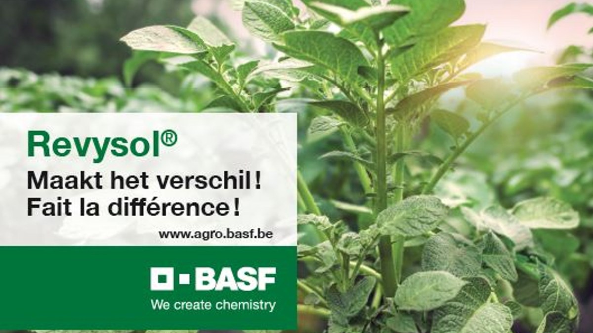 Revysol® in aardappelen