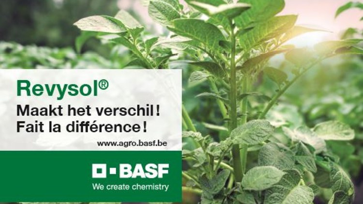 Bienvenue chez BASF Agricultural Solutions / BE