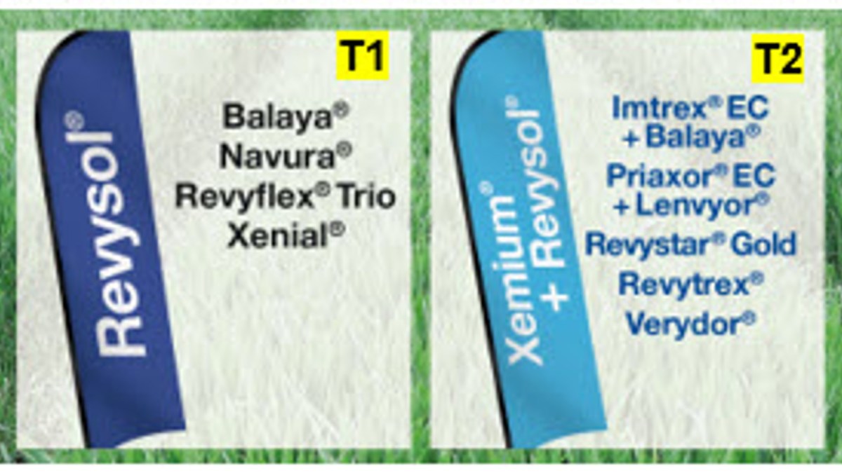 Bienvenue chez BASF Agricultural Solutions / BE